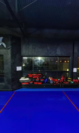 Academia Arena Ômega